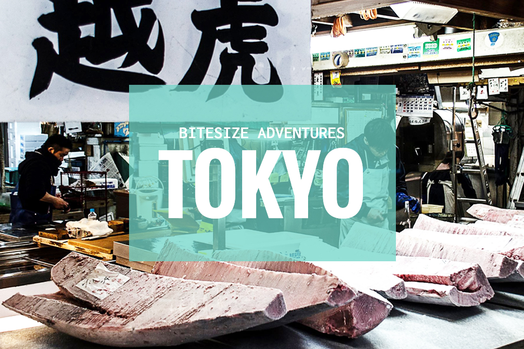 TOP 10 IN TOKYO – London Reviews and Things To Do